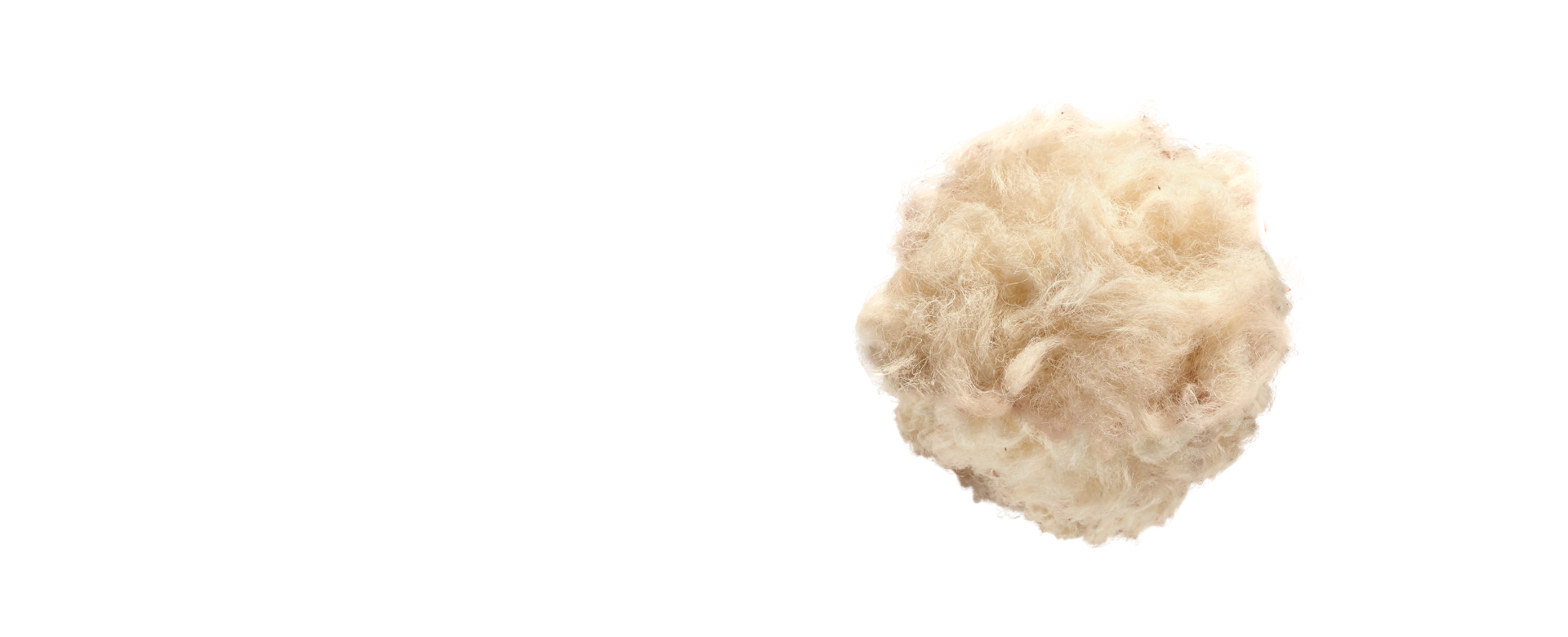 Sustainable Pineapple Leaf Fiber (PALF) by UKL: Innovative Eco-Friendly ...