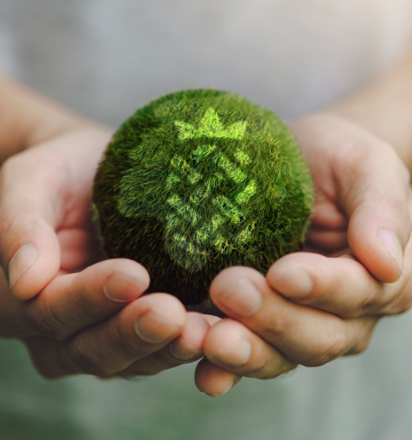 Sustainable Pineapple Leaf Fiber (PALF) by UKL: Innovative Eco-Friendly ...